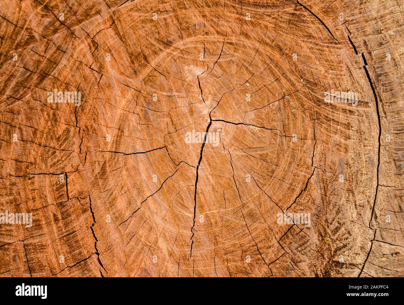 background of cutting wood Stock Photo - Alamy