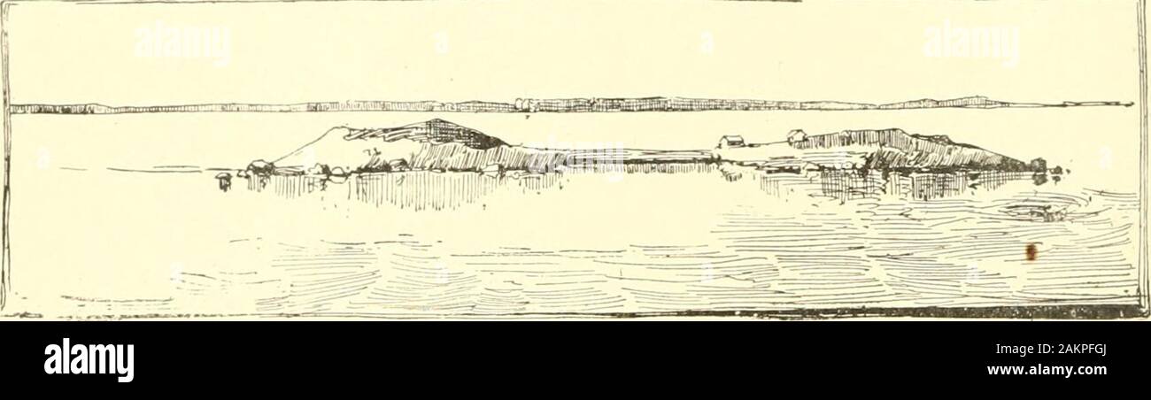 Ague tree hi-res stock photography and images - Alamy