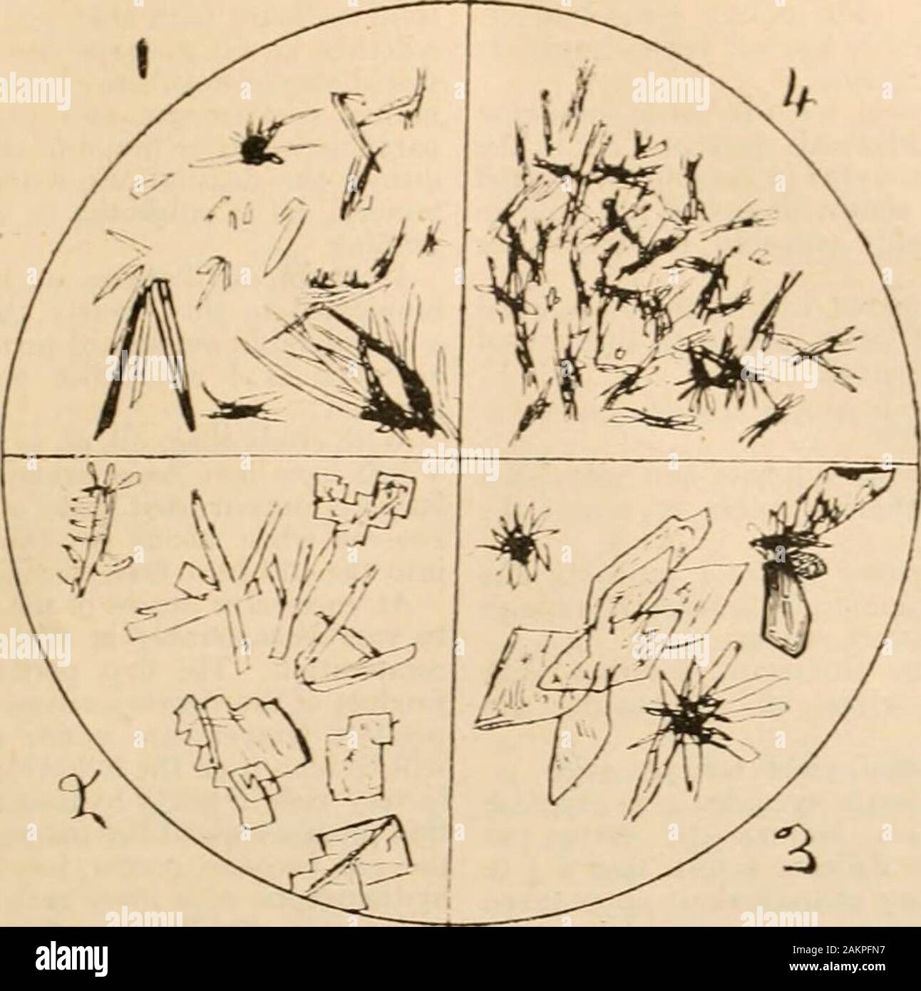 Aqueous alcoholic solution hi-res stock photography and images - Alamy