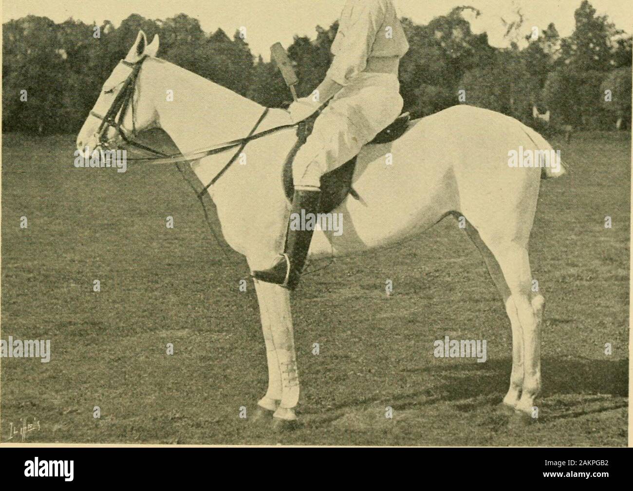 Russian polo team hi-res stock photography and images - Alamy