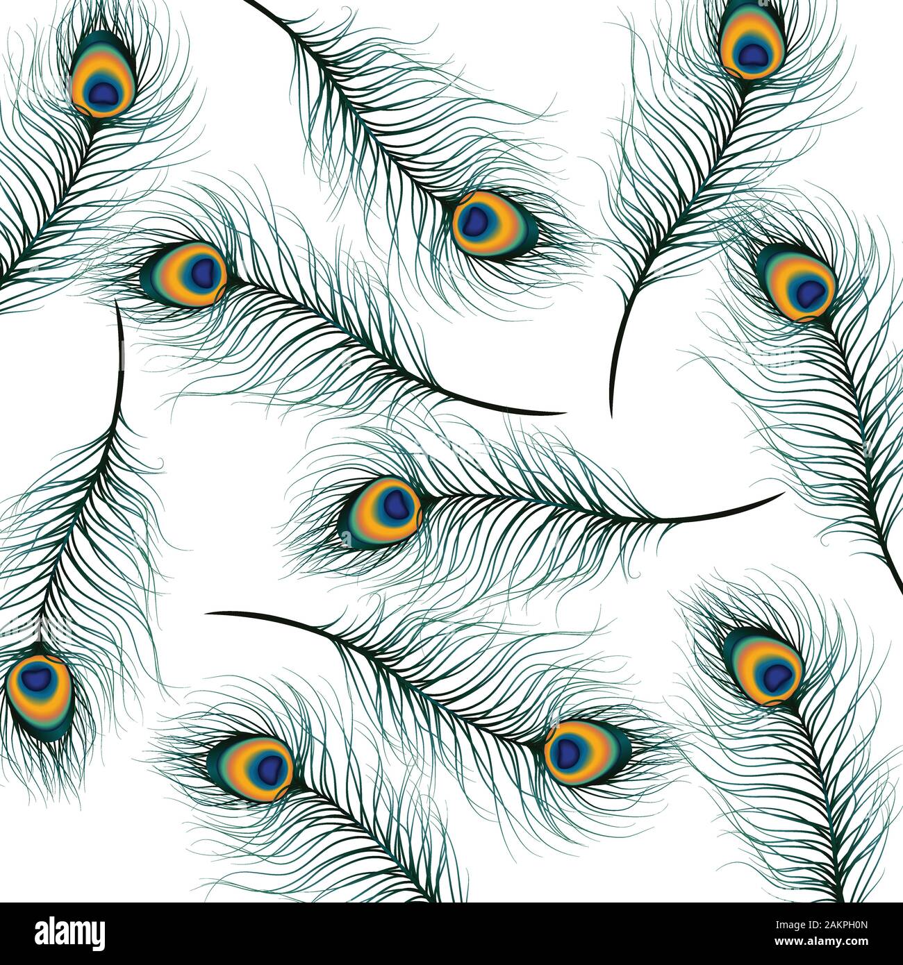 Peacock feather on isolated background. vector Stock Vector Image & Art ...