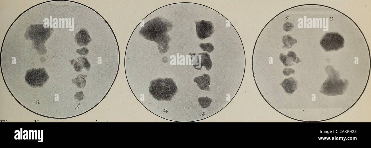 The archives of physiological therapy . e other elements. Fig. 4, for ...