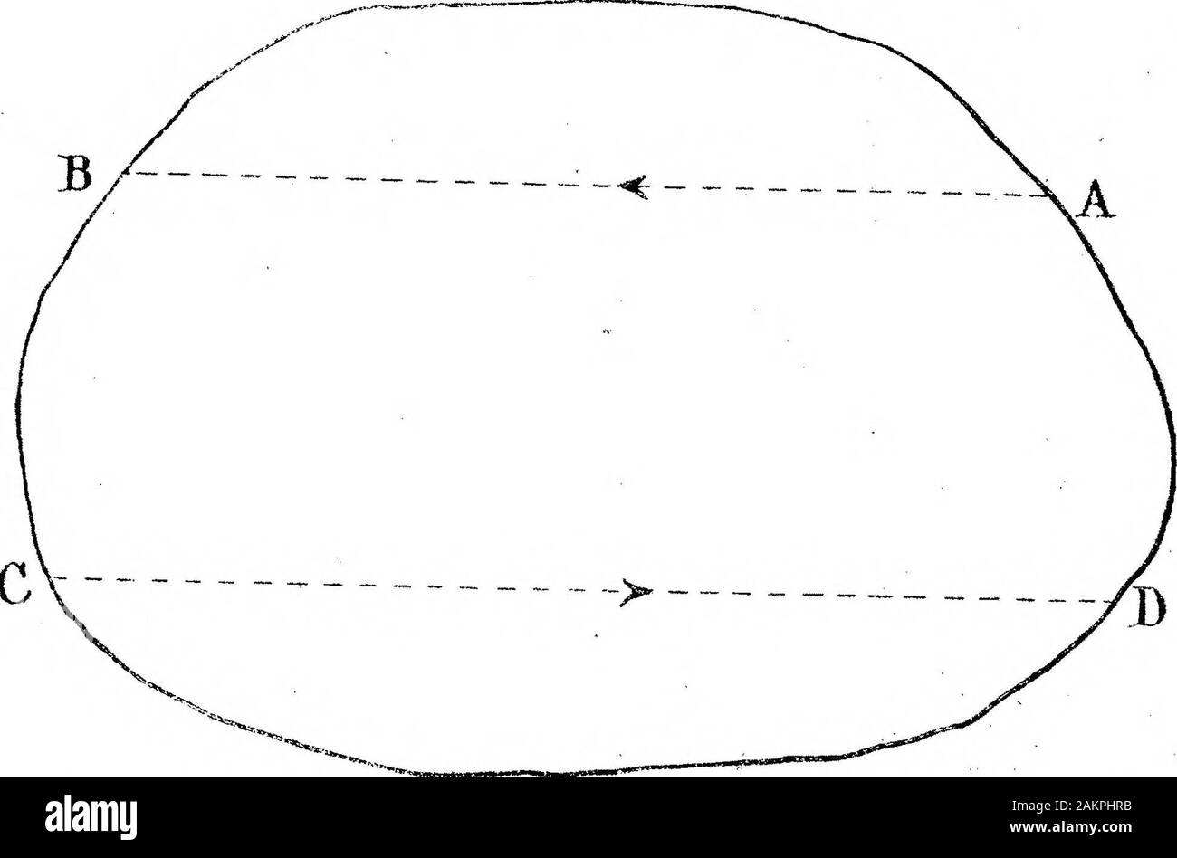 The Transition from Rostro-Carinate Flint Implements to the Tongue ...