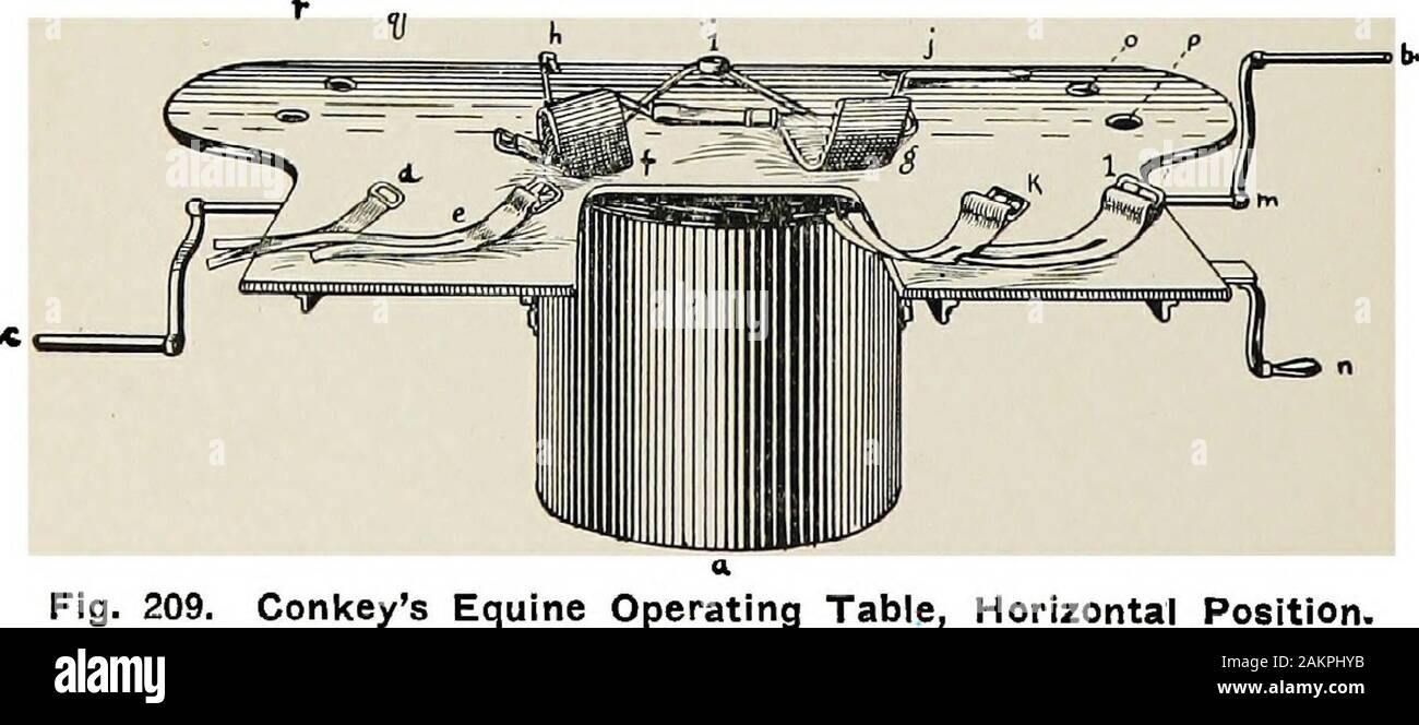 Hobble down Cut Out Stock Images & Pictures - Alamy