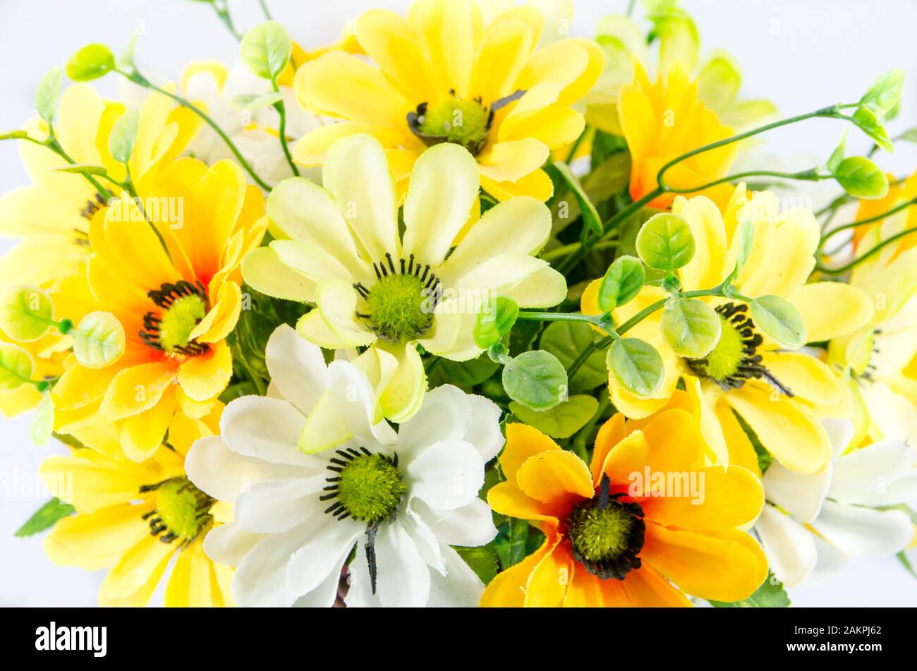 Green synthesis hi-res stock photography and images - Alamy