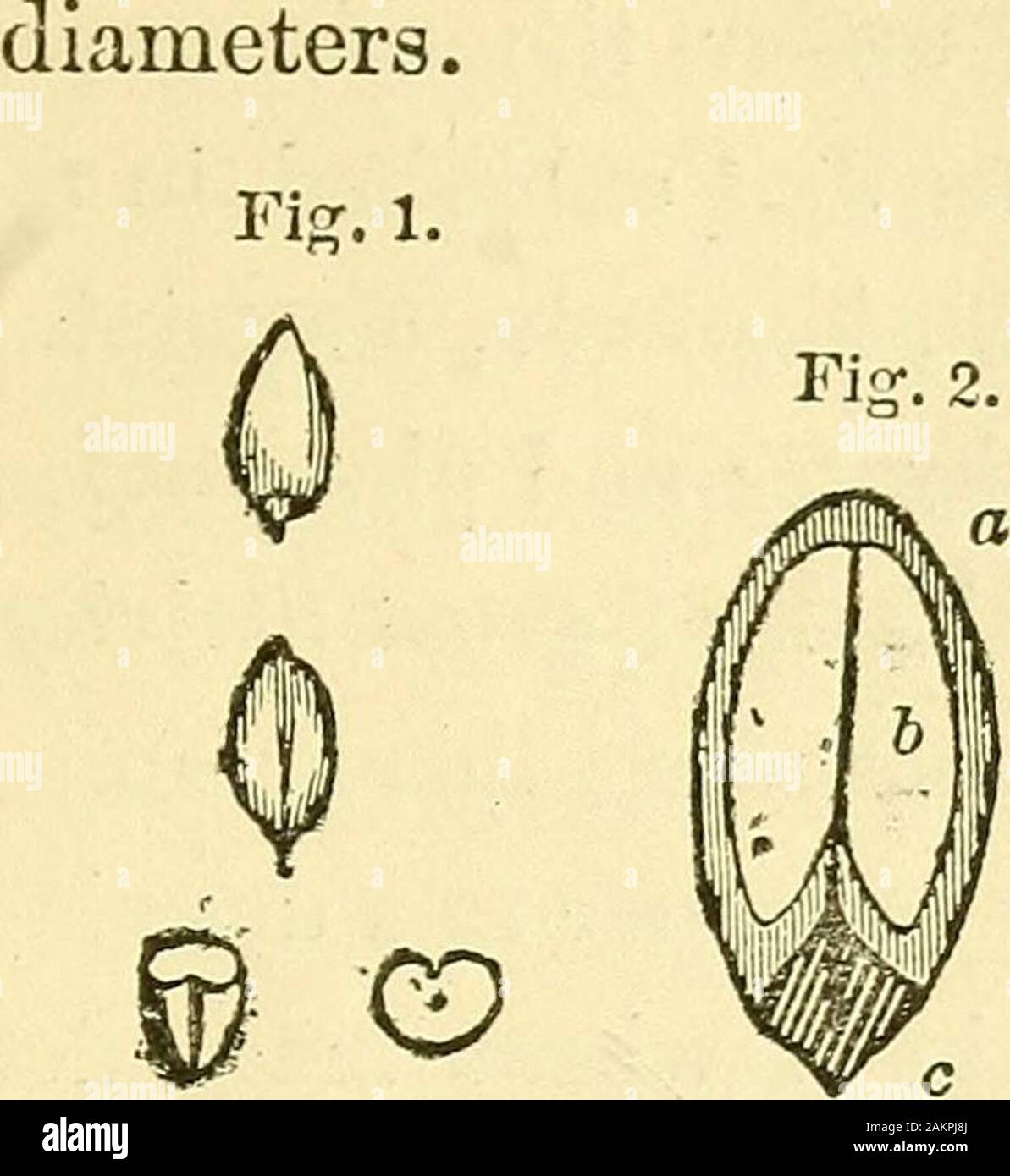Human feeding system hi-res stock photography and images - Alamy