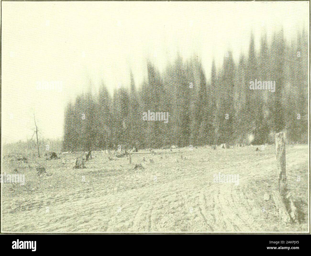 Du Pont farmer's handbook; instructions in the use of dynamite for ...