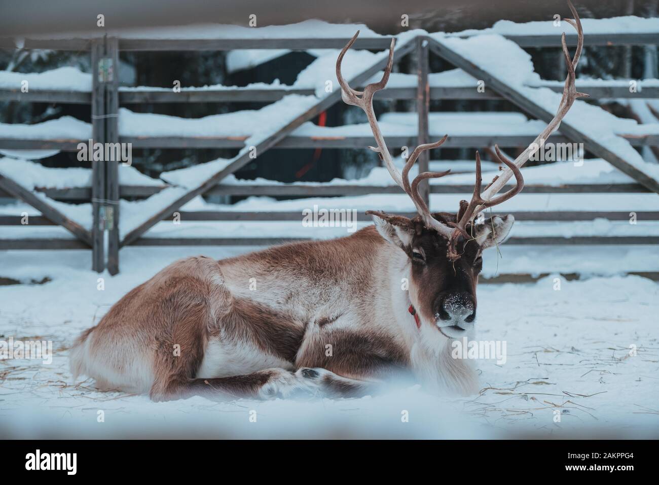 Carib High Resolution Stock Photography and Images - Alamy