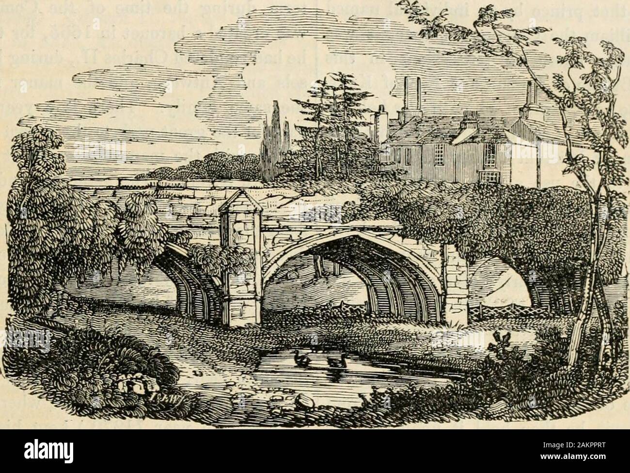 Four elms hi-res stock photography and images - Alamy