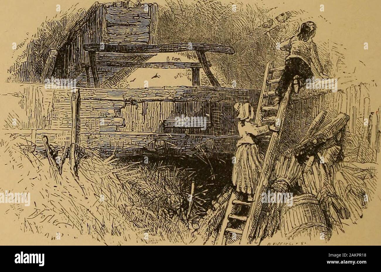 Rafters chapel hi-res stock photography and images - Alamy