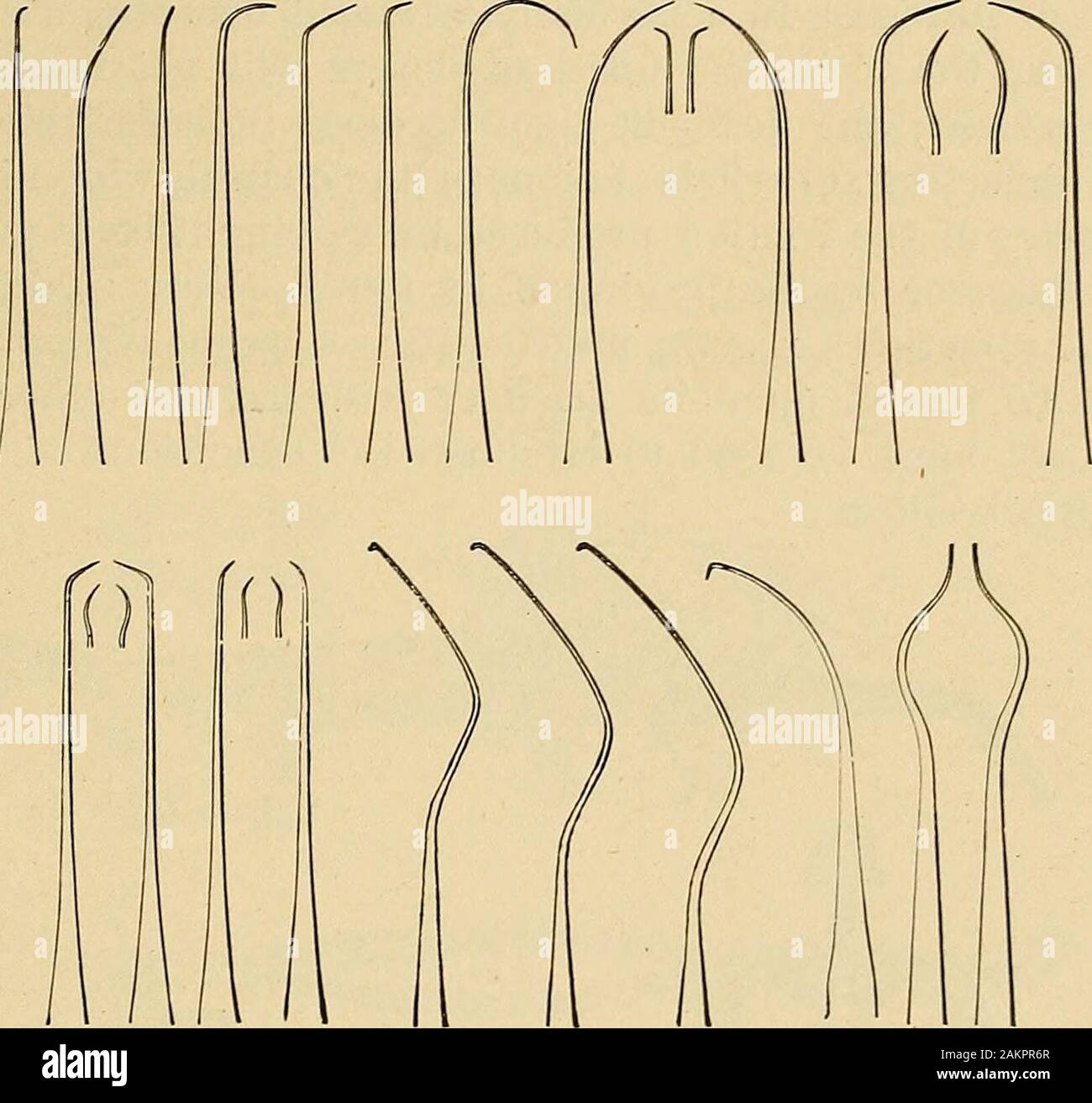 Principles and practice of operative dentistry . aces with pureglycerol ...