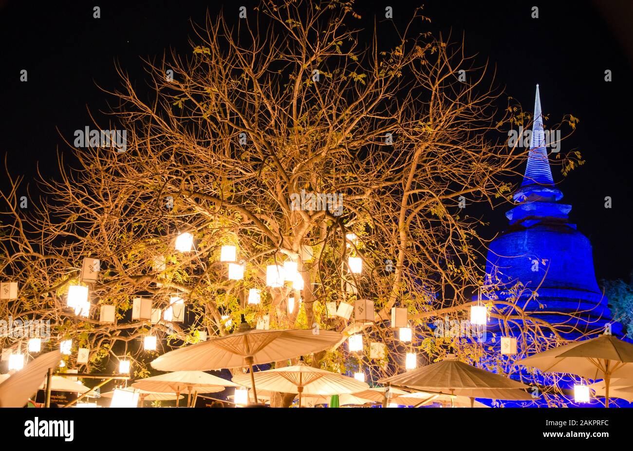 leafless tree with ancient stupa at night Stock Photo - Alamy