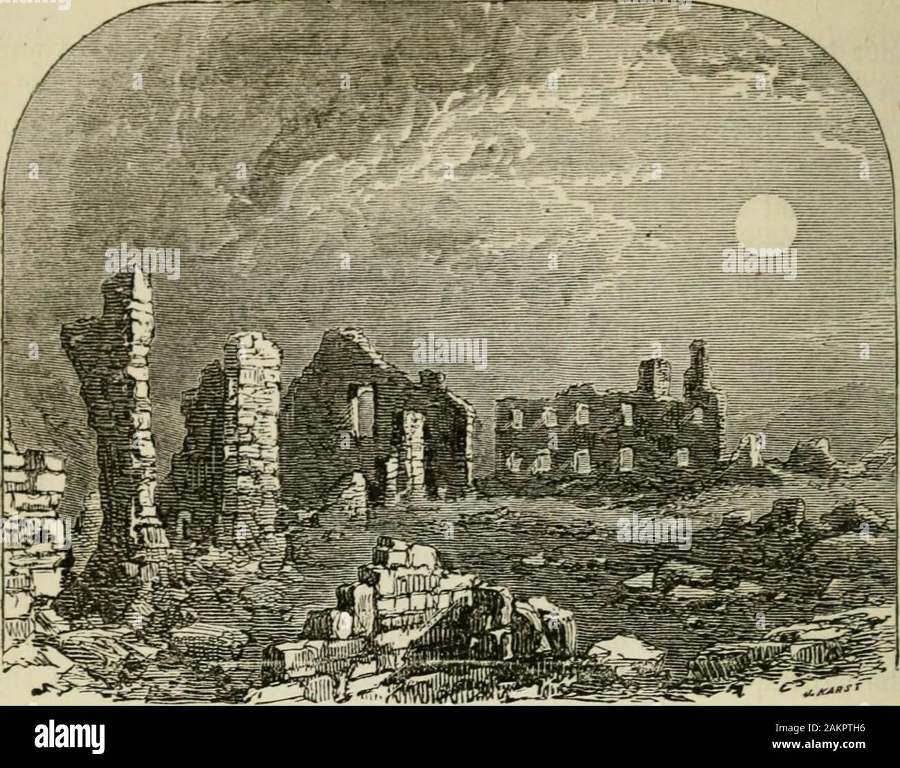 Common predecessor hi-res stock photography and images - Alamy