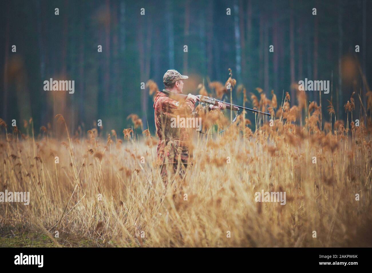 A process of hunting during hunting season, process of duck hunting ...