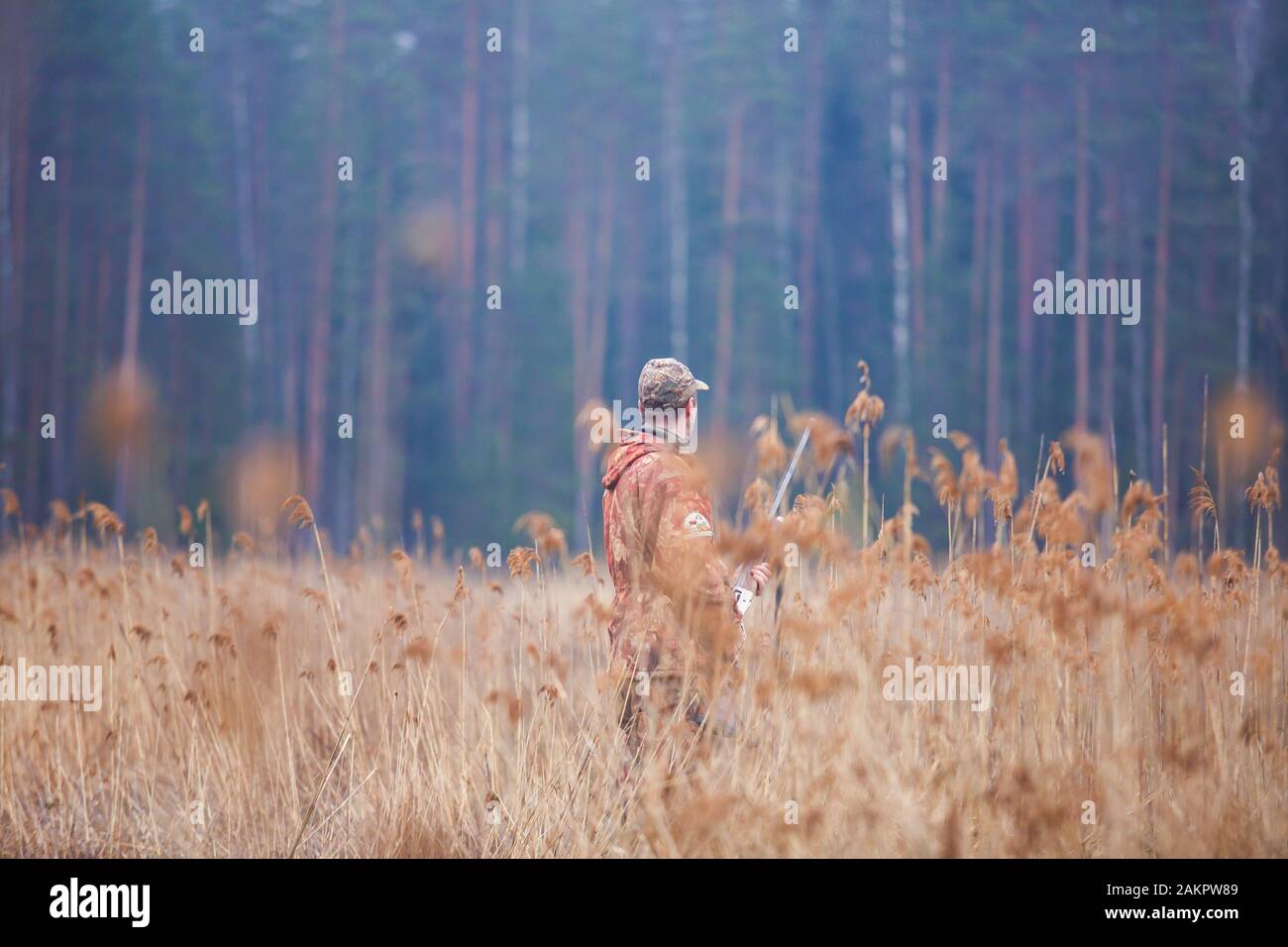 A process of hunting during hunting season, process of duck hunting ...