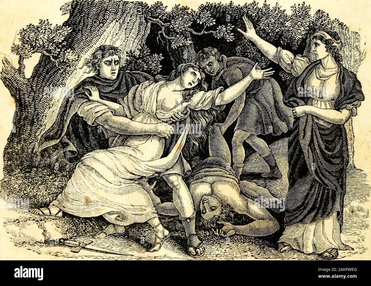 Cymbeline cloten hi-res stock photography and images - Alamy