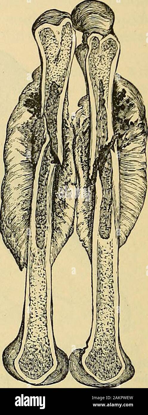 Greatl hi-res stock photography and images - Alamy