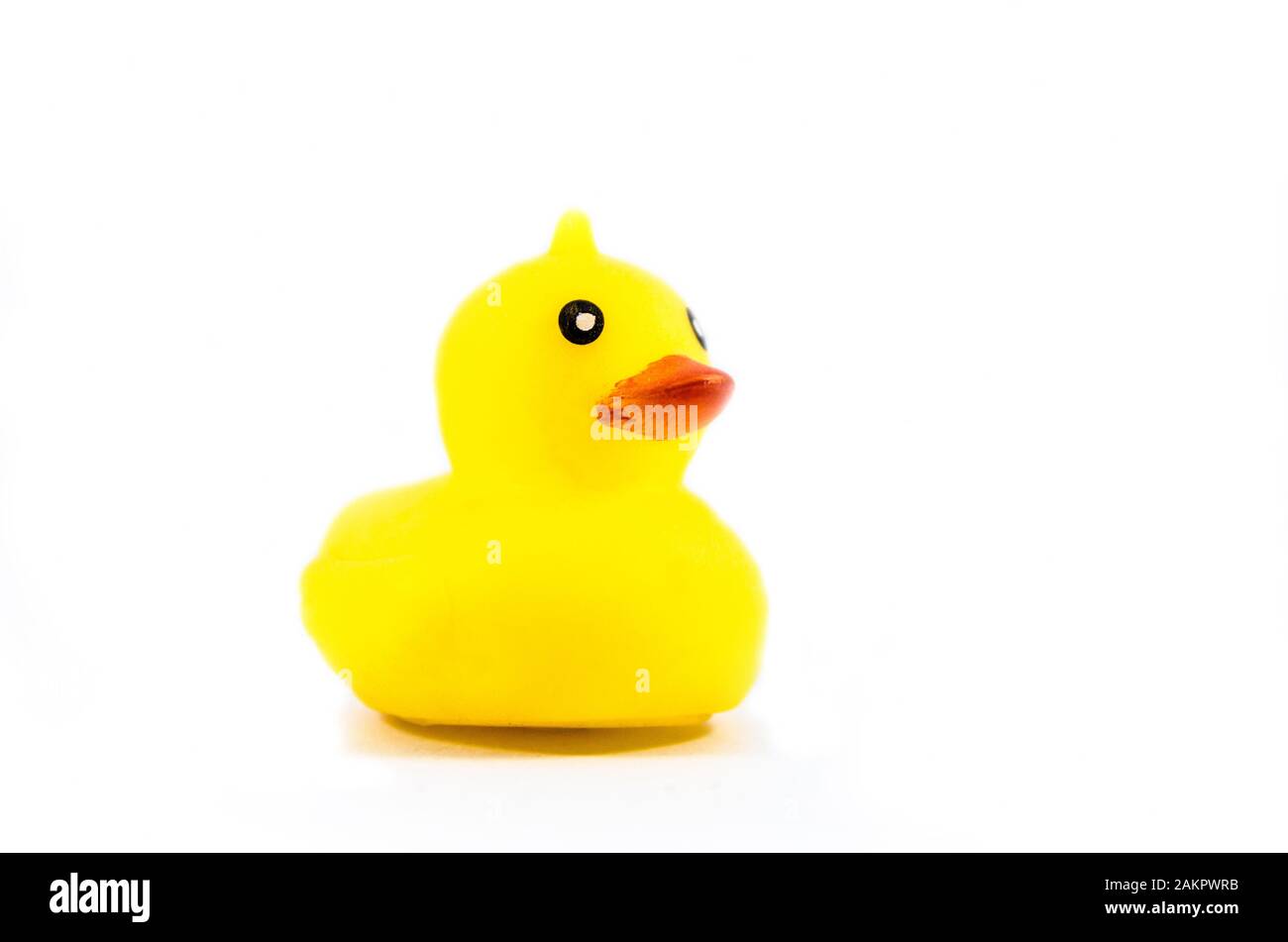 Rubber Duck Side View High Resolution Stock Photography and Images - Alamy