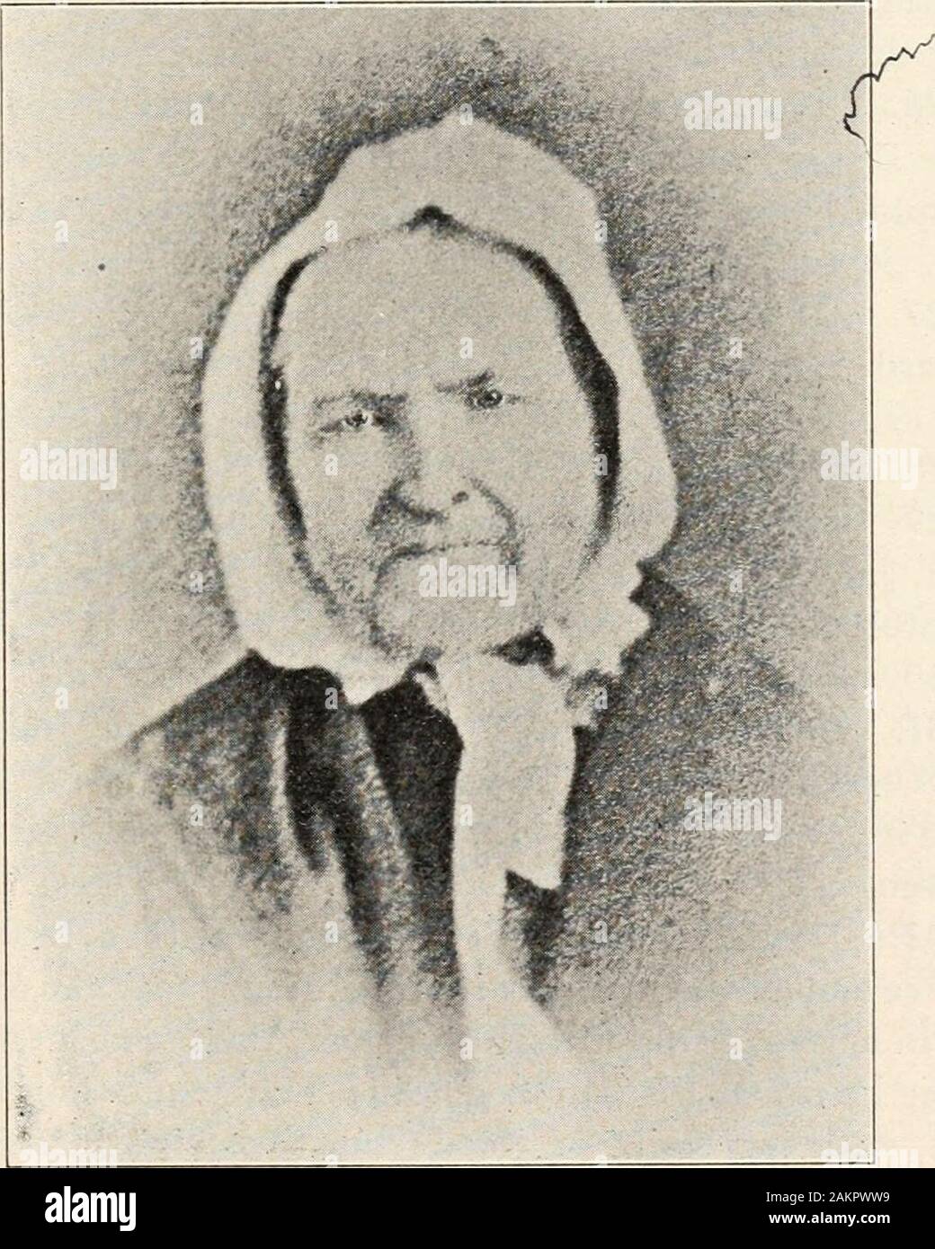 Bookidhistorygenealogy00hest hi-res stock photography and images - Alamy