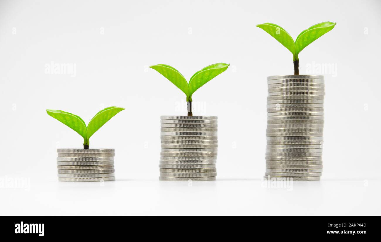 three thai coin stacks on white background Stock Photo - Alamy