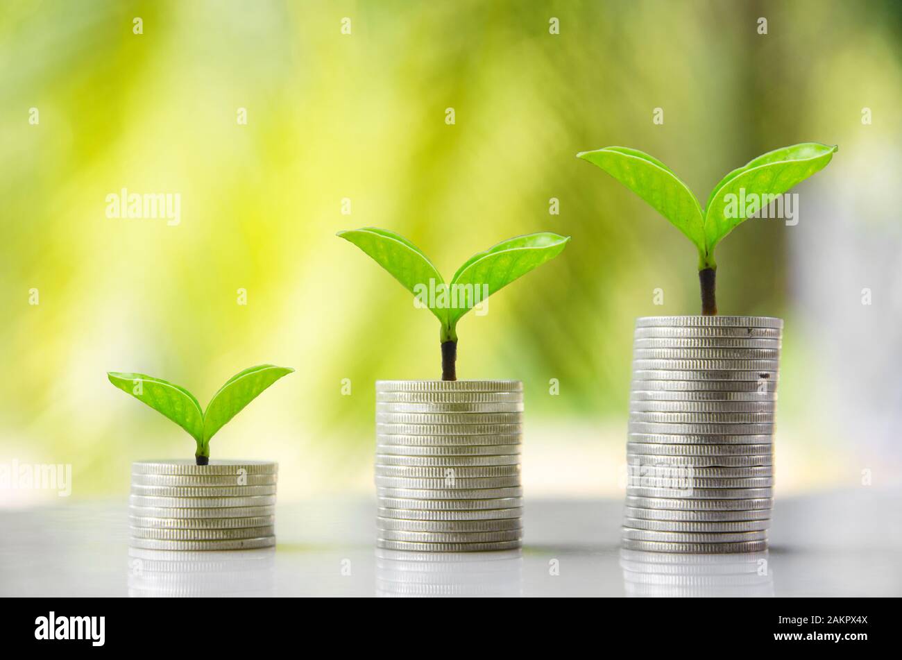 three thai coin stacks on plant background Stock Photo - Alamy