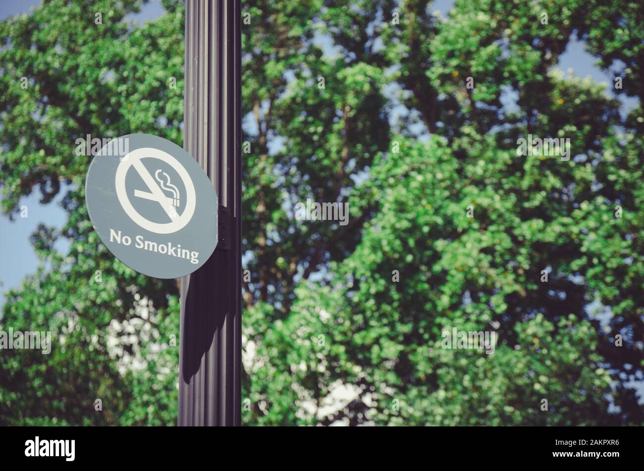 No smoking sign of pole with tree background Stock Photo - Alamy