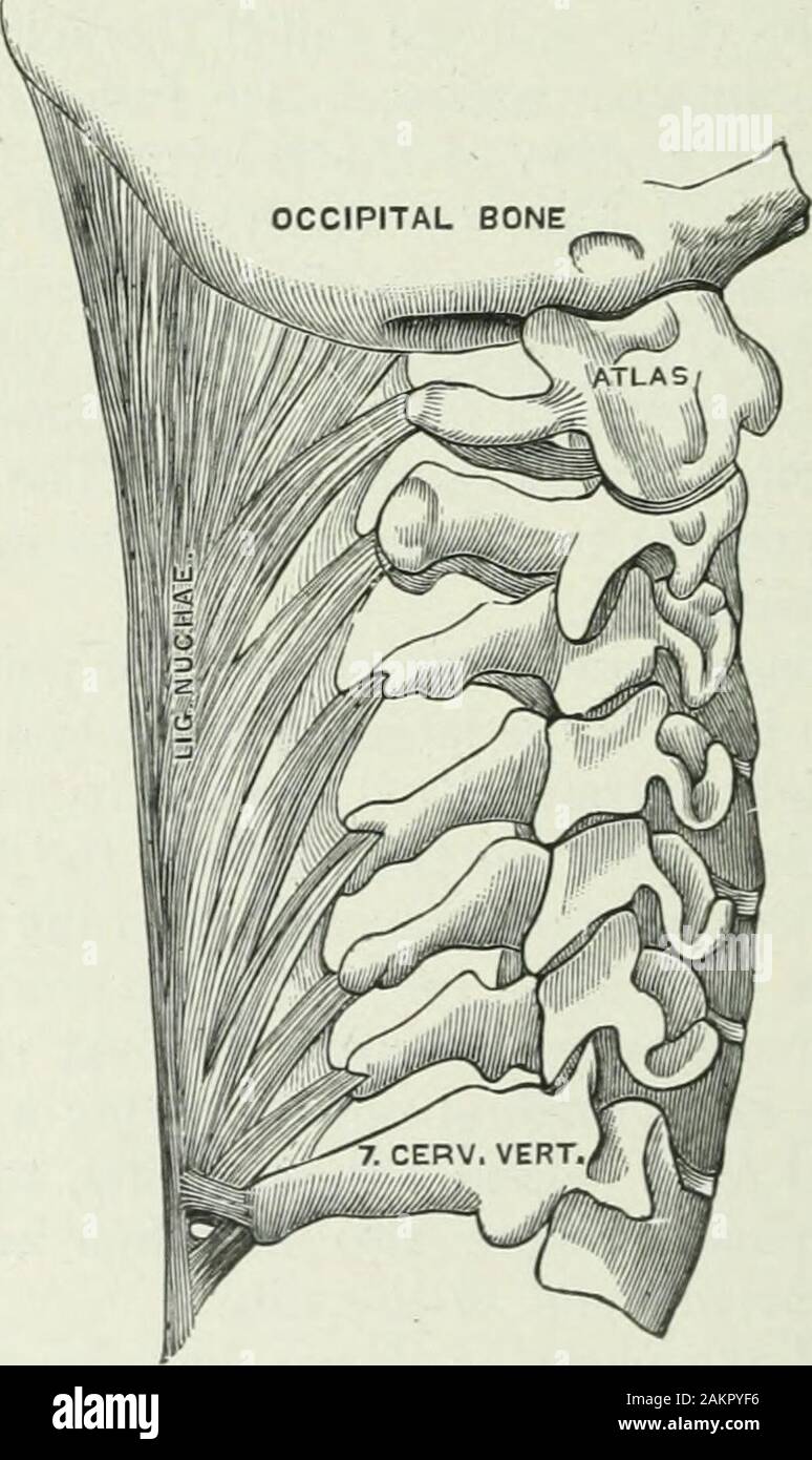 Costal notch hi-res stock photography and images - Alamy