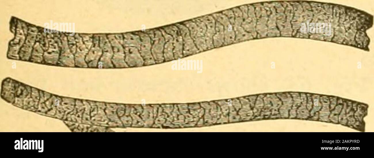 Carbonizing wool hi-res stock photography and images - Alamy