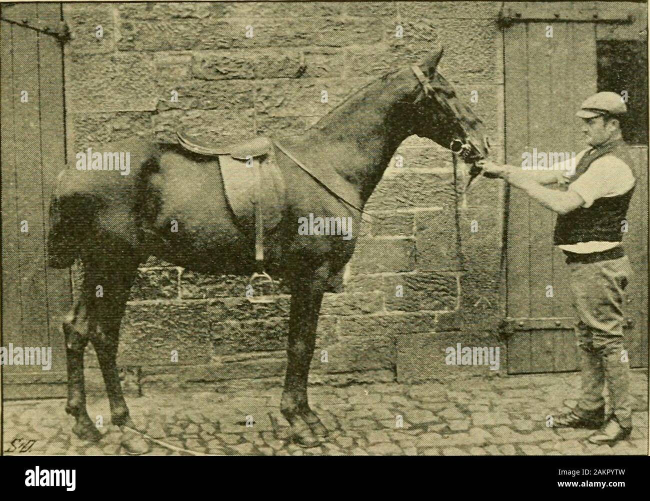 Modern trifle hi-res stock photography and images - Alamy