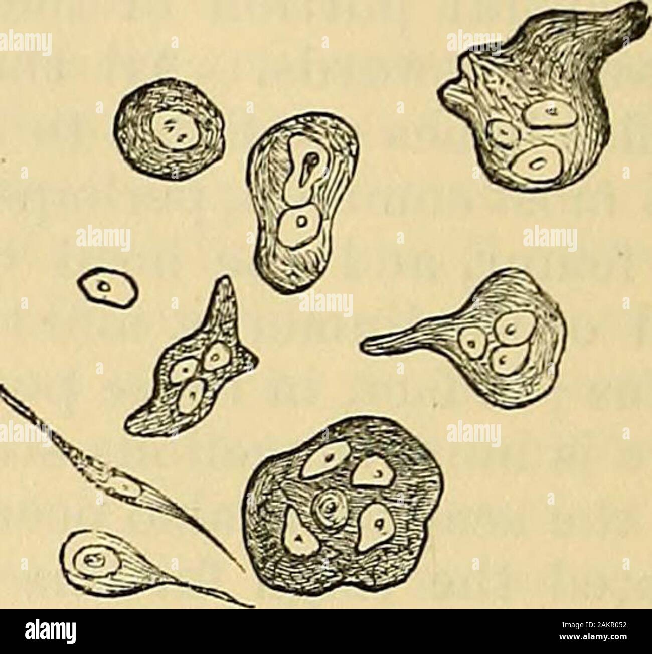 Operation paget hi-res stock photography and images - Alamy