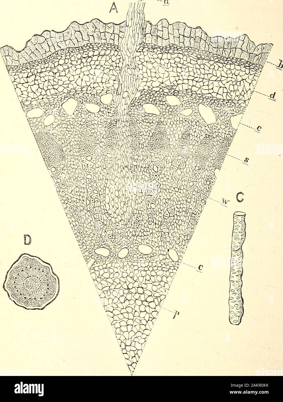 Wedge shaped stone hi-res stock photography and images - Alamy