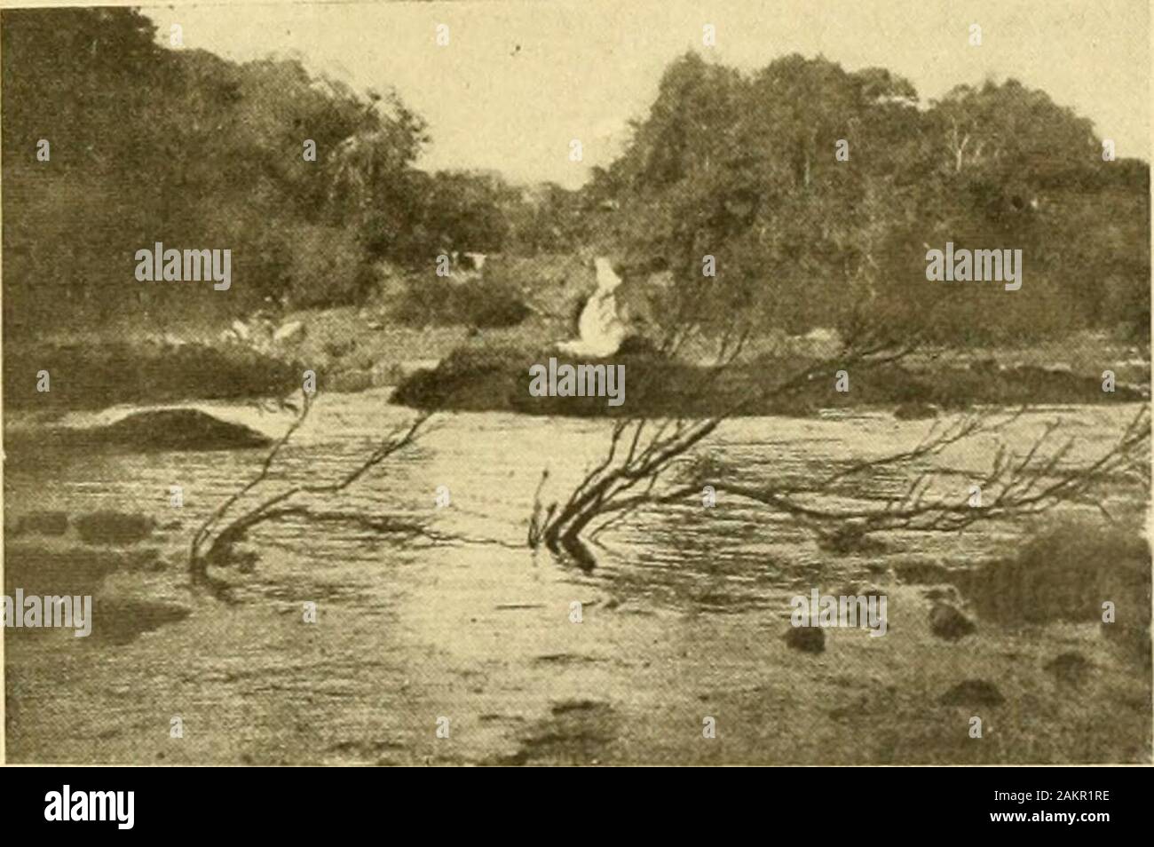 Saut de feu hi-res stock photography and images - Alamy