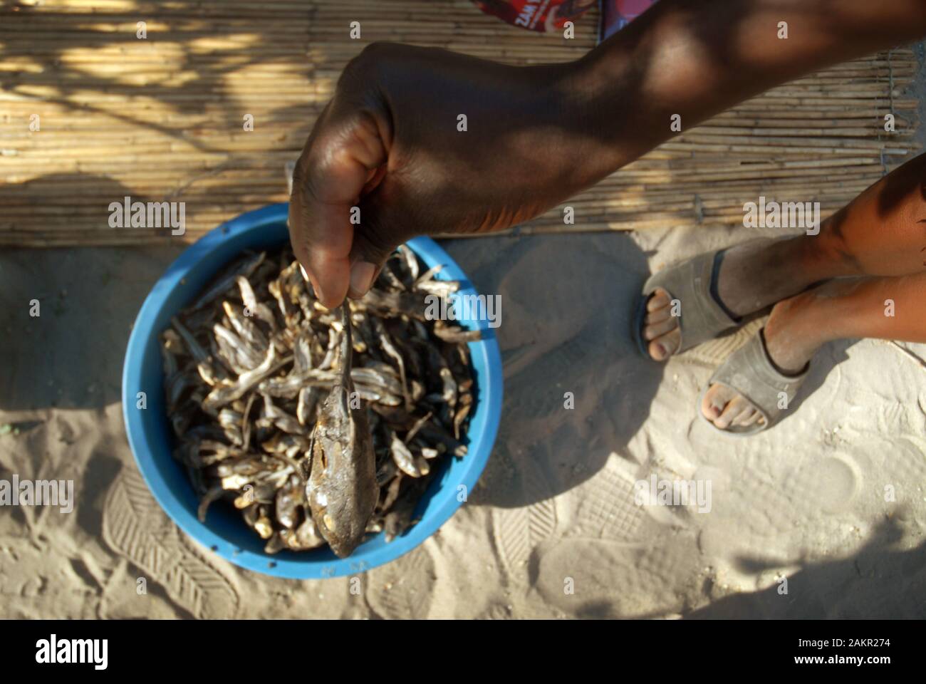 Woman shows one of her dried fish she is selling, Mwandi, Zambia ...