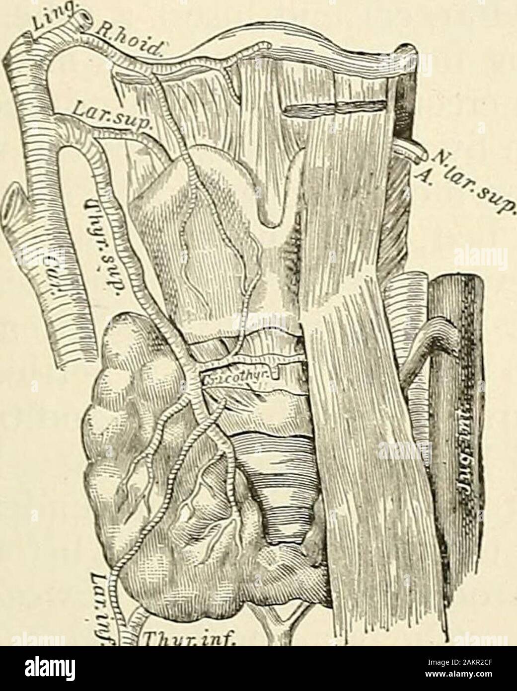 Supine chair hi-res stock photography and images - Alamy