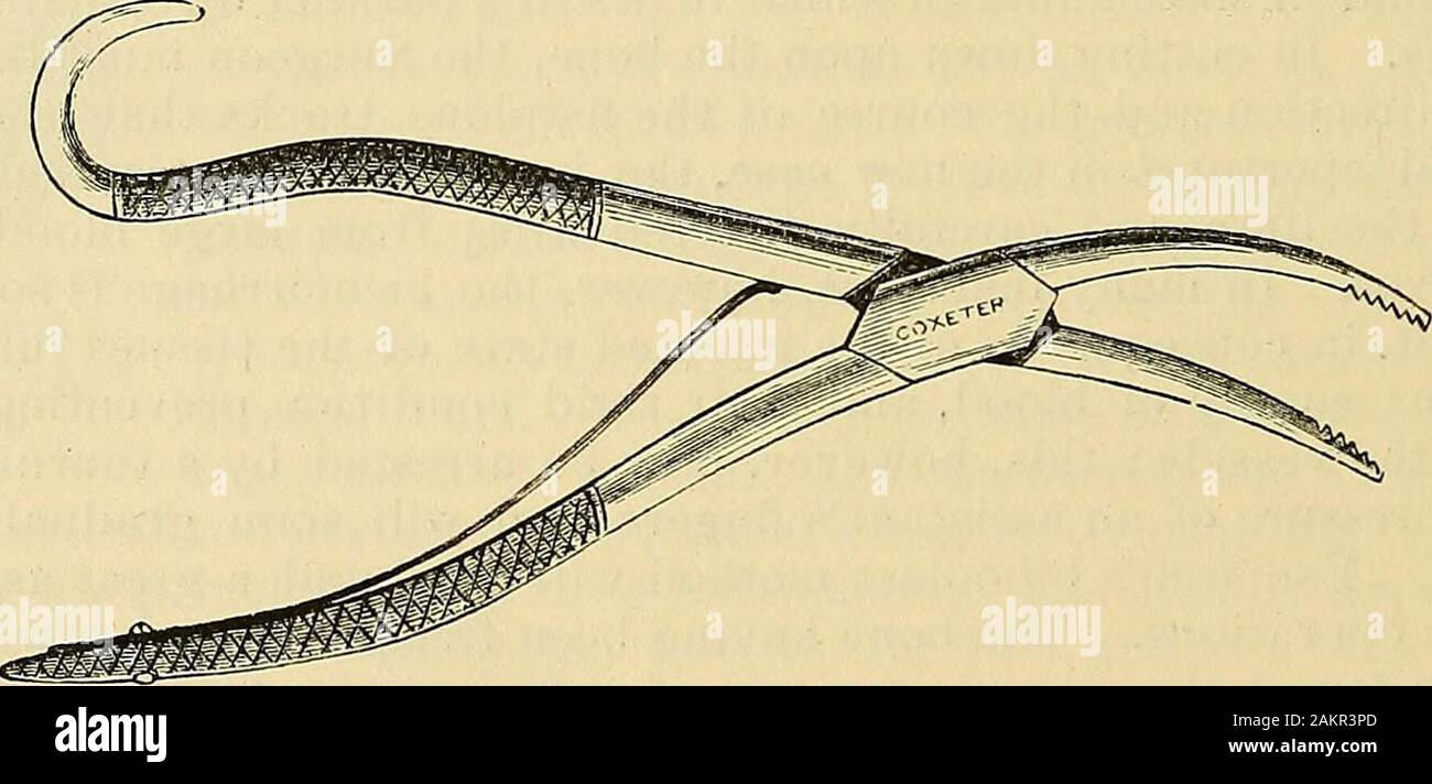 Sequestrum High Resolution Stock Photography and Images - Alamy
