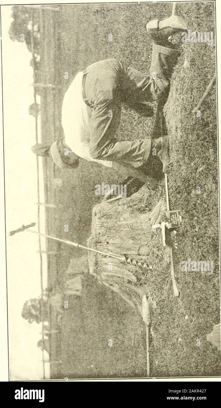 Du Pont farmer's handbook; instructions in the use of dynamite for ...