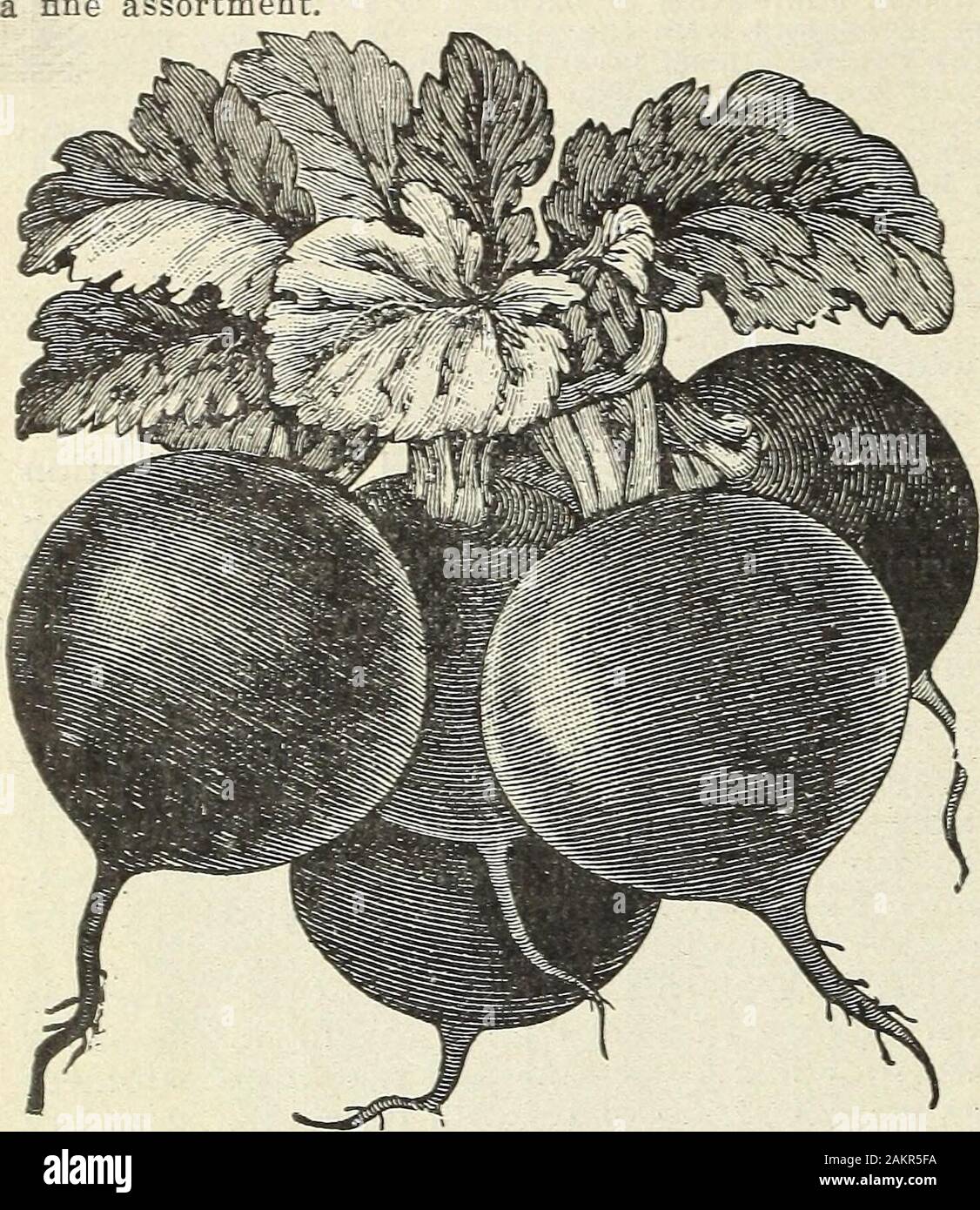 Rad pack hi-res stock photography and images - Alamy