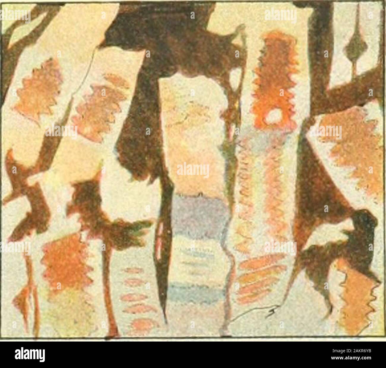 Entroques hi-res stock photography and images - Alamy