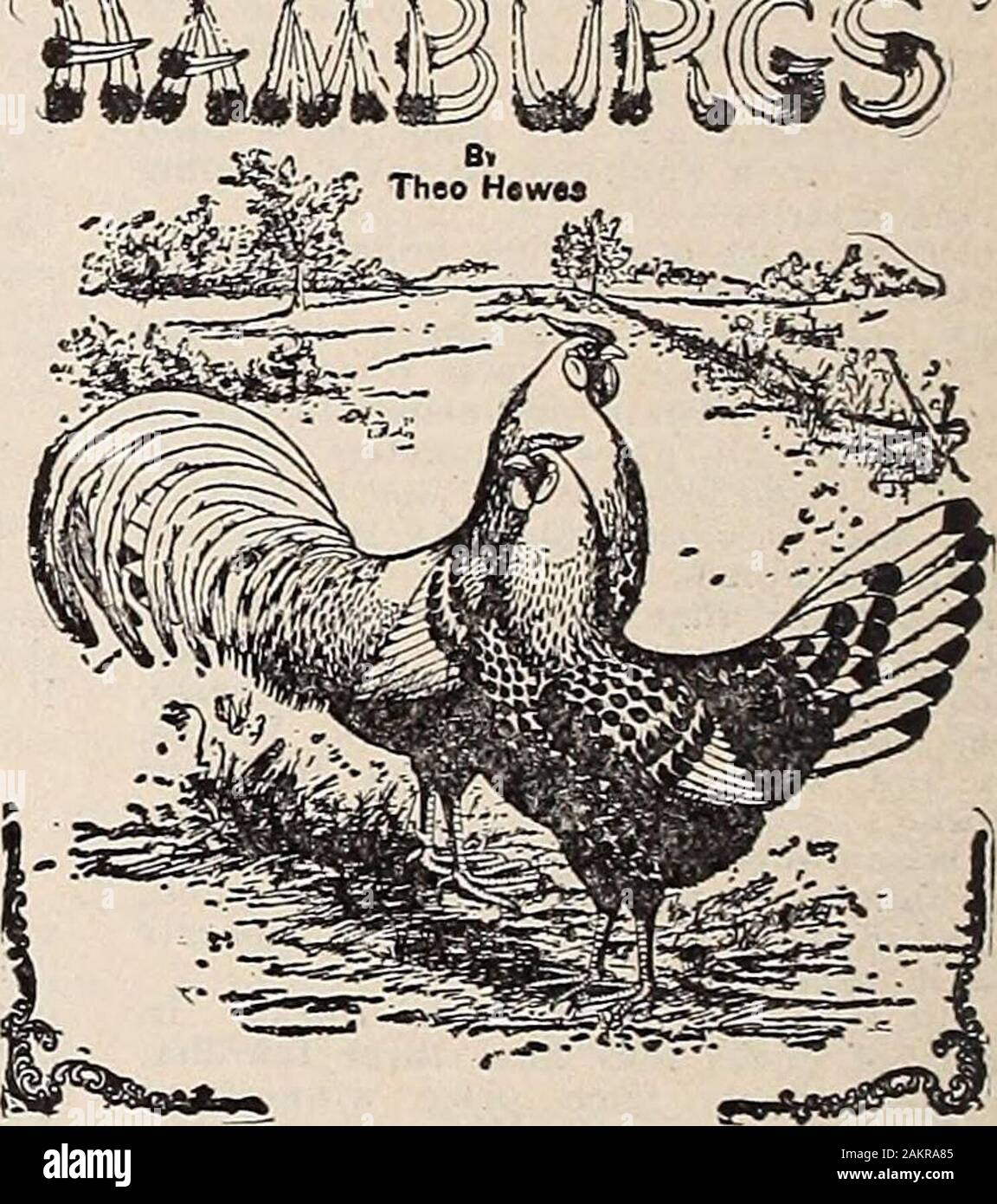 Scoring Fifty High Resolution Stock Photography and Images - Alamy