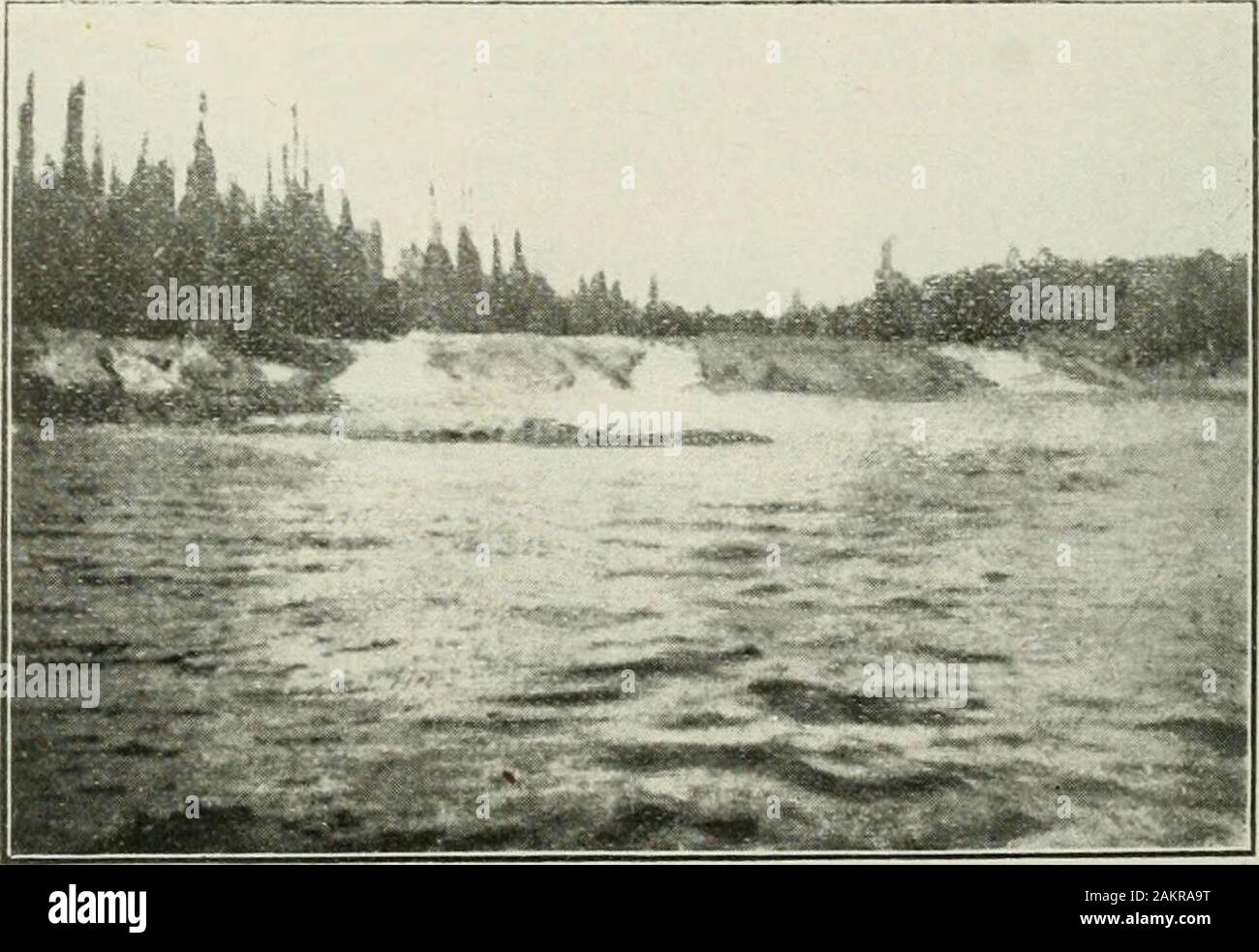 Oguki hi-res stock photography and images - Alamy