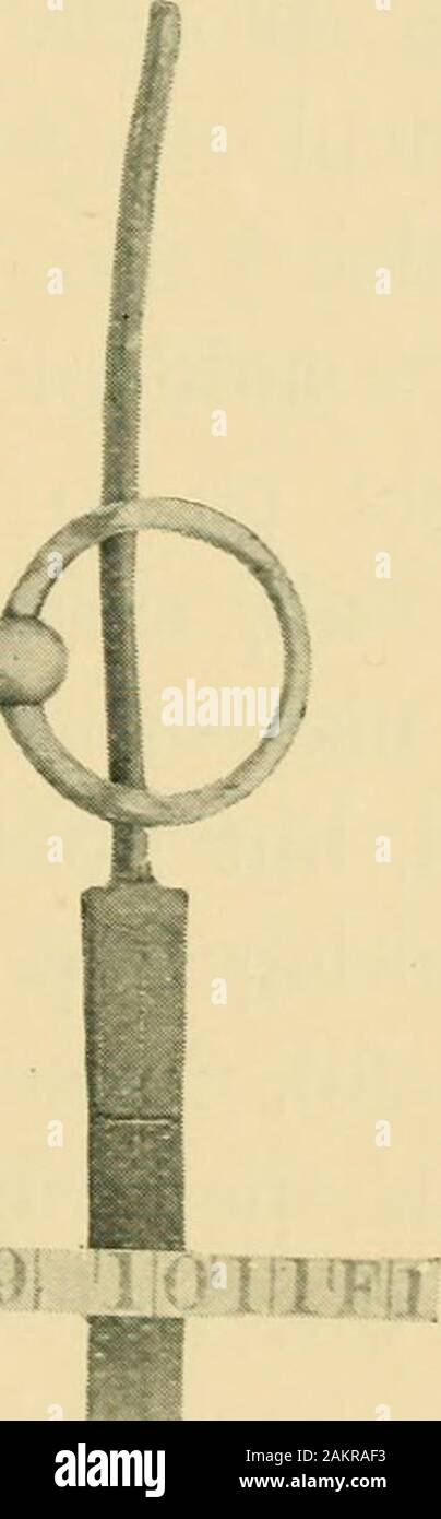 Modern polo . IK Fig. 59.—Hanoverian Pelham. hunting, by , a man who ...