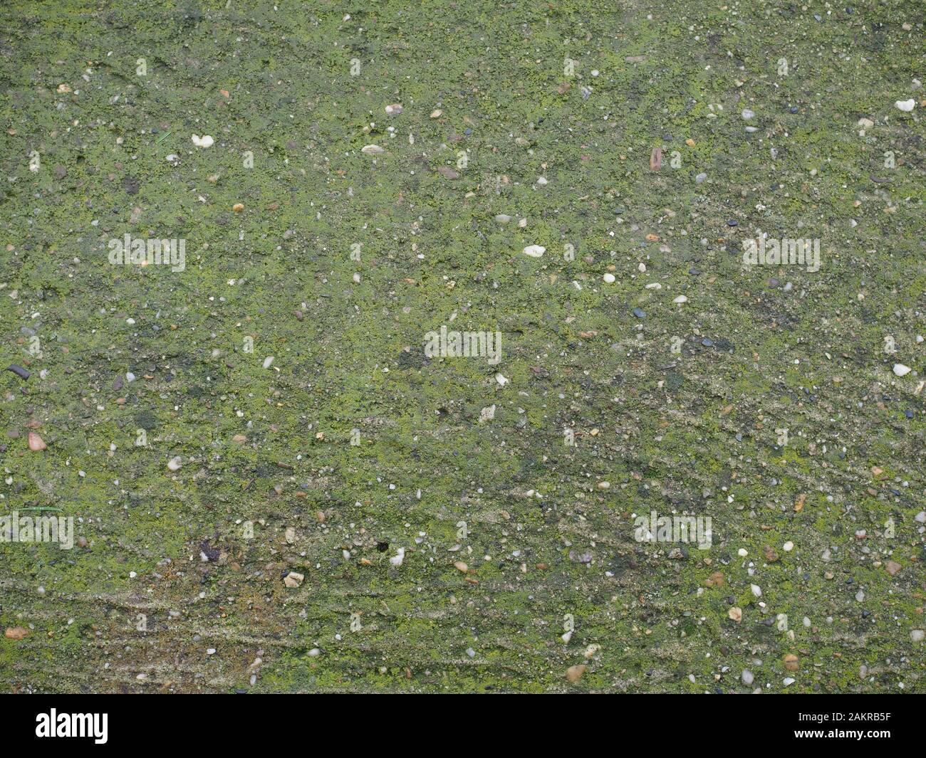 concrete texture with moss useful as a background Stock Photo - Alamy