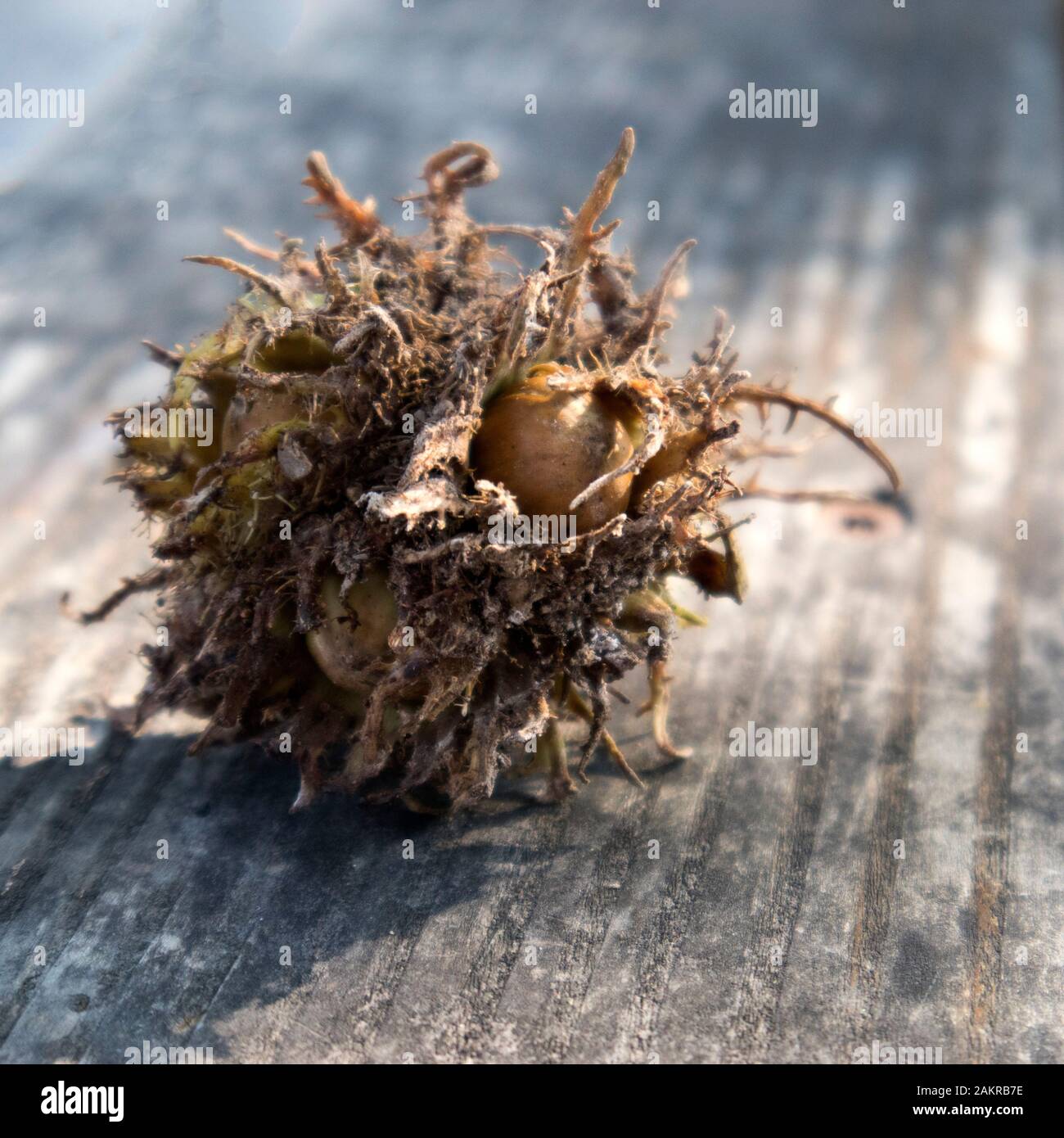 Open peel hi-res stock photography and images - Alamy