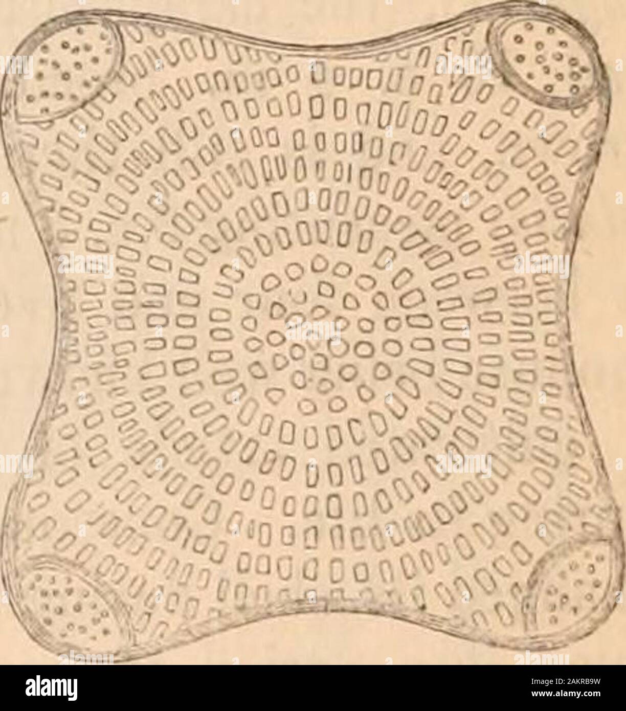 Hardwicke's science-gossip : an illustrated medium of interchange and ...