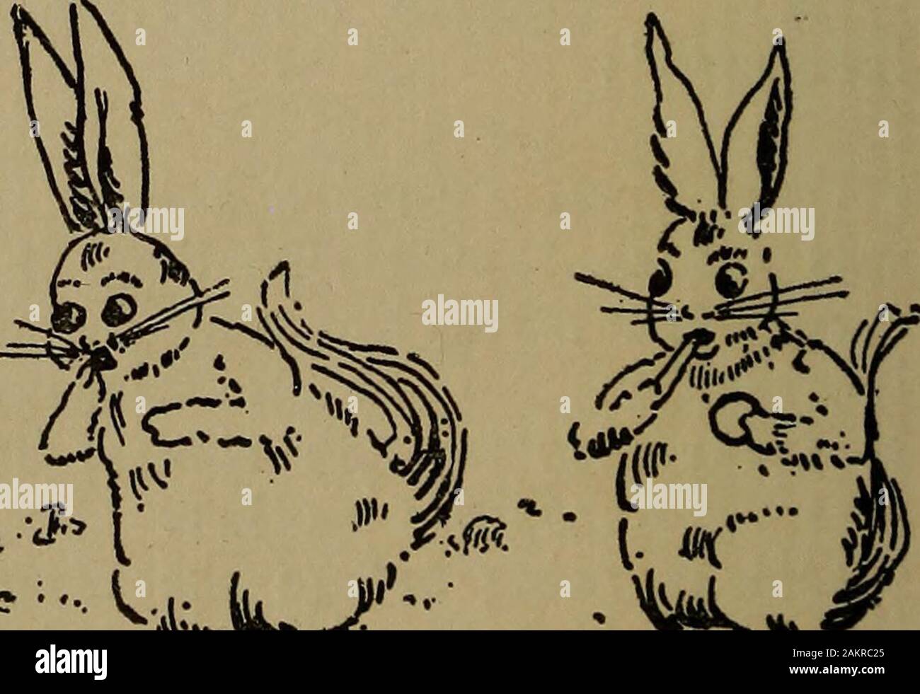 Brushed tail hi-res stock photography and images - Alamy