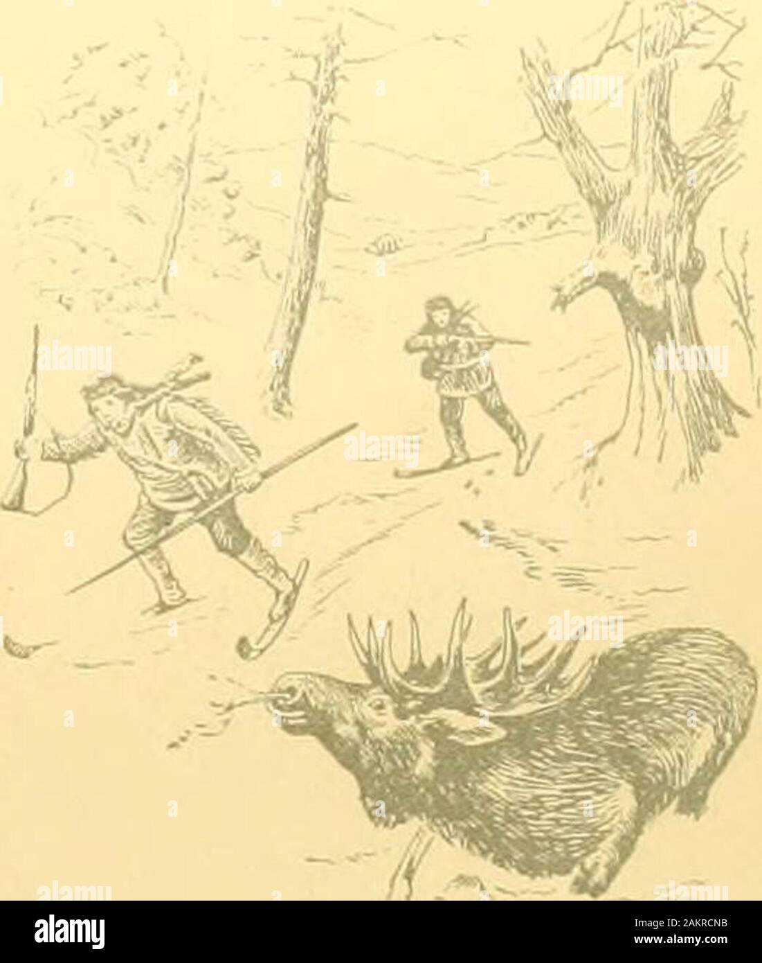 Hunting and trapping stories; a book for boys . ^^^^^ Trapping Stories ...