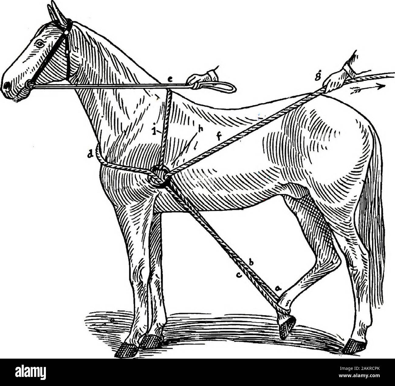 158 150 Cut Out Stock Images & Pictures - Alamy