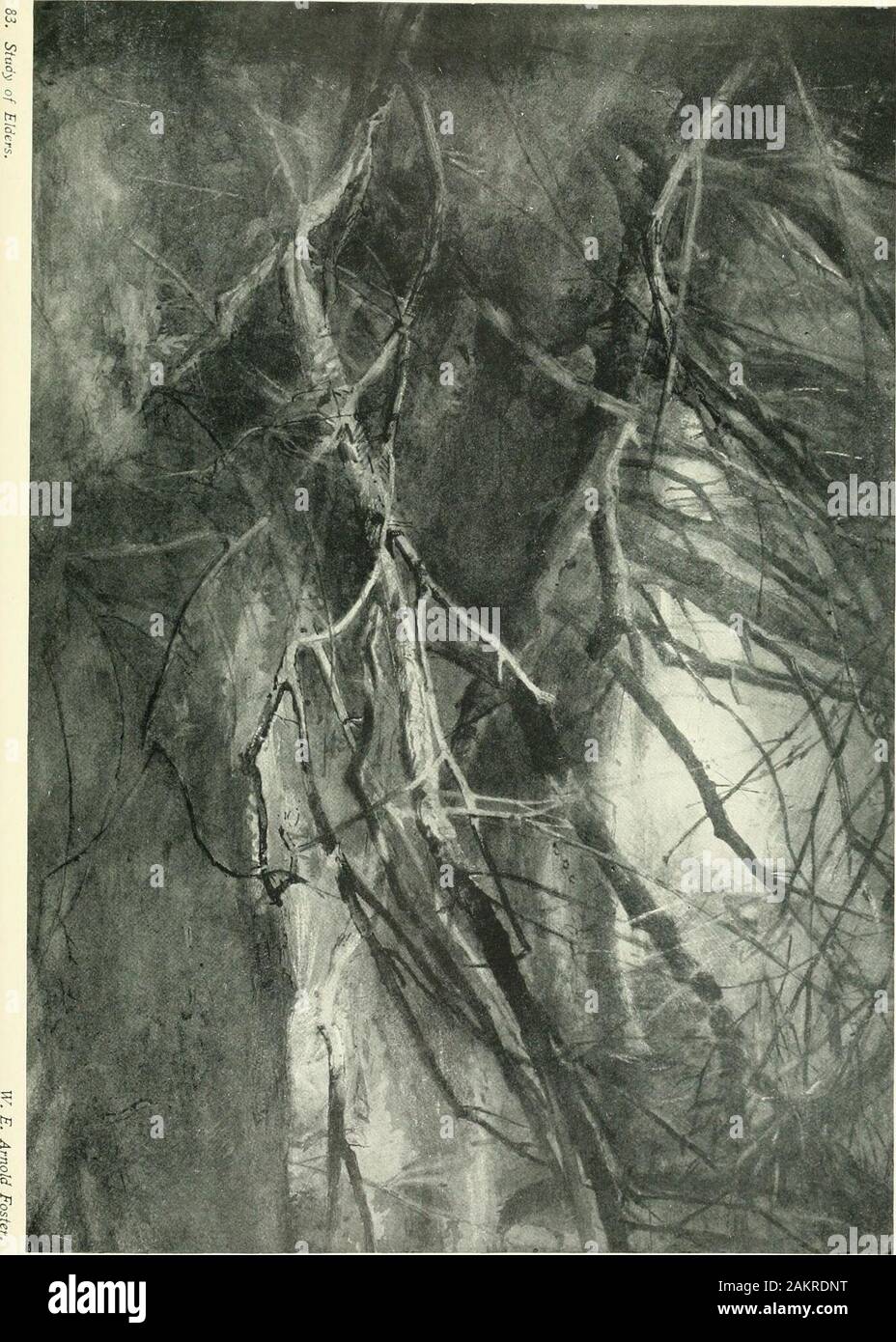 The Slade; a collection of drawings and some pictures done by past and ...