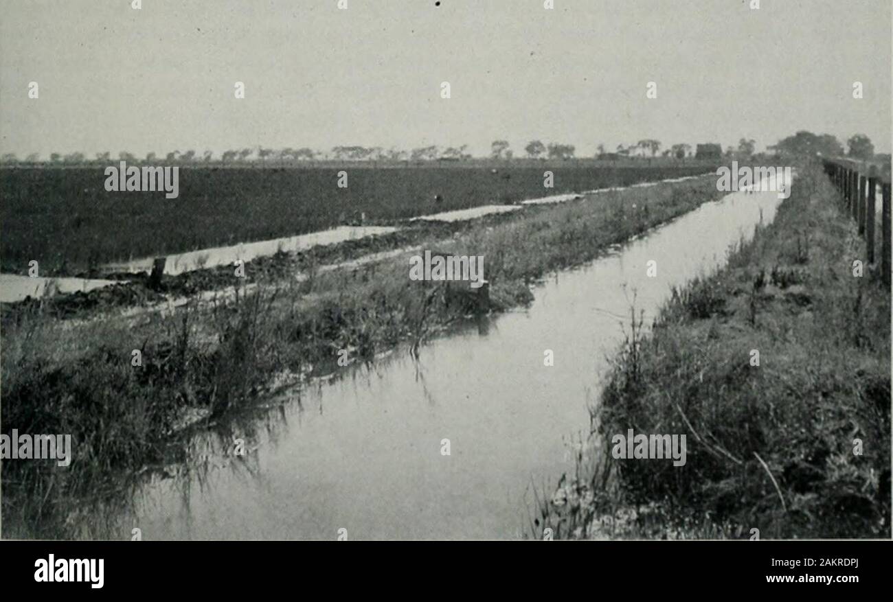 100 rice fields hi-res stock photography and images - Alamy