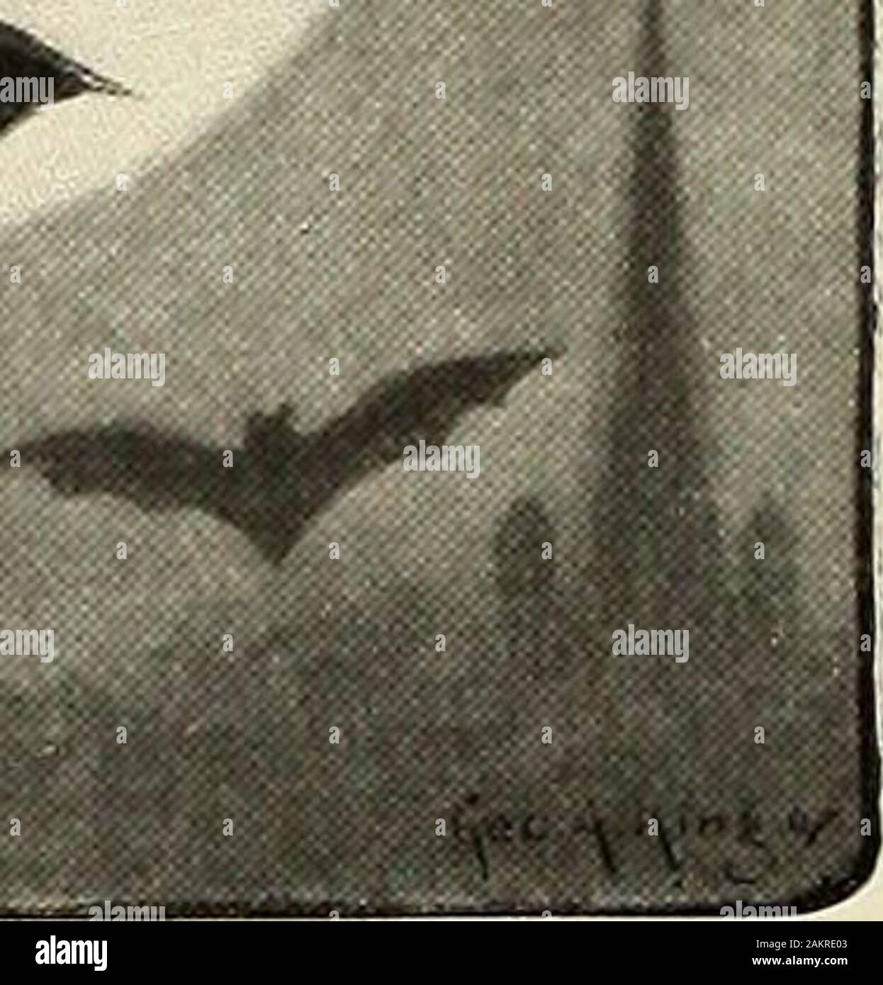 Gelow hi-res stock photography and images - Alamy